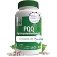 PQQ Pyrroloquinoline Quinone Supplement