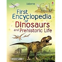 First Encyclopedia of History (Usborne First Encyclopedias): 1: Amazon ...