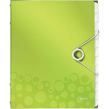 LEITZ Ordnungsmappe, DIN A4, Karton, 12 Fächer, gelb: Amazon.de ...