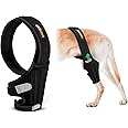 Lyderpet Dog Knee Brace for Torn ACL Hind Leg, Rear Leg Braces for Dogs Luxating Patella, Metal ...