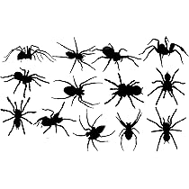 Sagoma Di Tarantola