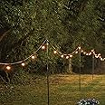 Festive Lights - 1.5m or 2.4m Festoon Poles for Hanging Decorative ...