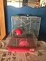 Rosewood PICO Hamster Home, Extra Large, Translucent Teal: Amazon.co.uk ...