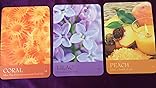 The Secret Language of Color Cards : Segal, Inna: Amazon.de: Bücher