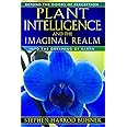 Plant Intelligence and the Imaginal Realm: Beyond the Doors of ...