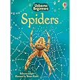 Spiders (Usborne Beginners) : Gilpin, Rebecca, Various: Amazon.co.uk: Books