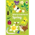 What to Look For in Spring (A Ladybird Book) : Jenner, Elizabeth ...