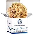 Jordan Benedict Natural Sea Sponge - Natural Sea Sponge for Bath and ...