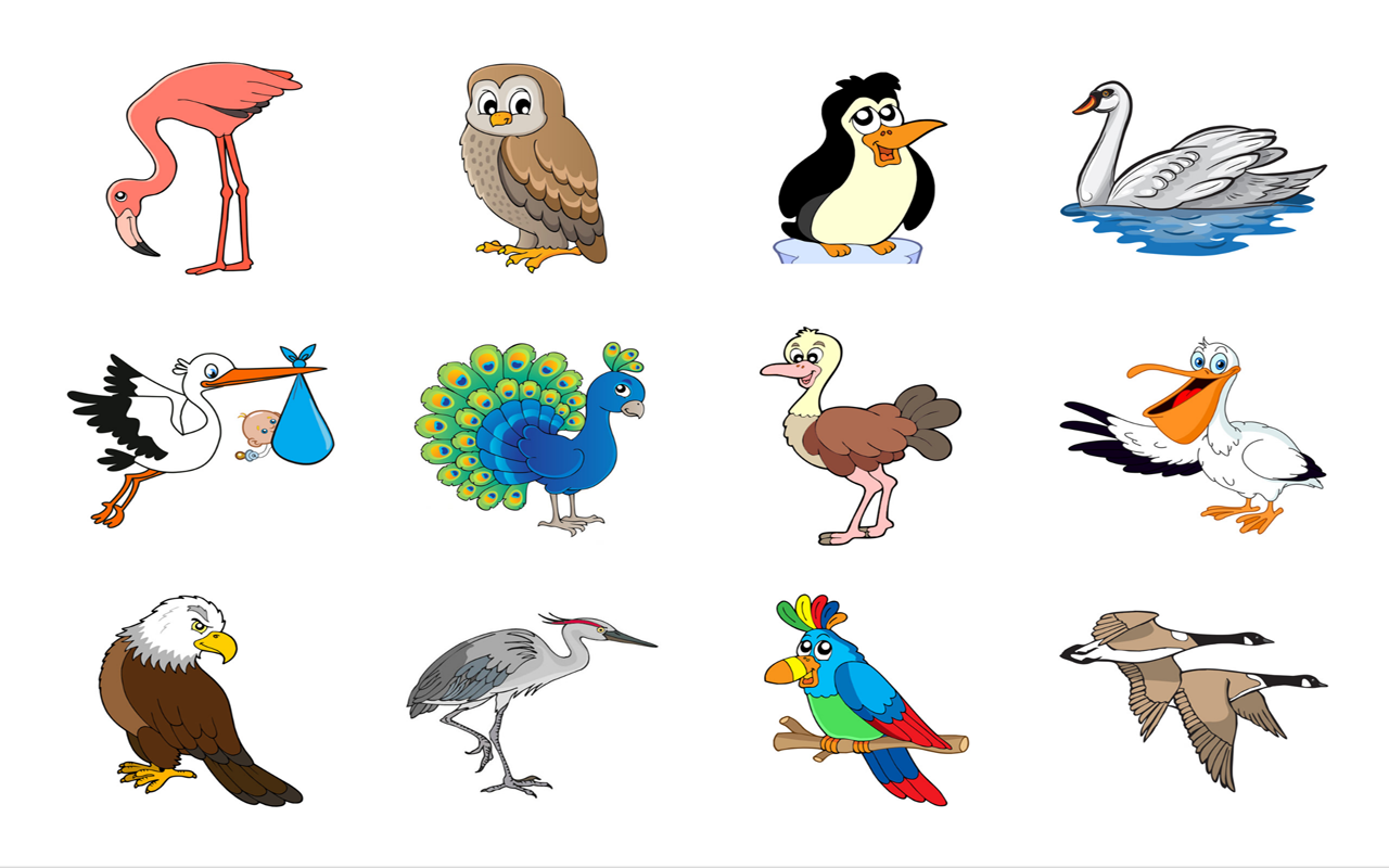 (KT)Video Touch - Birds: Amazon.co.uk: Appstore for Android