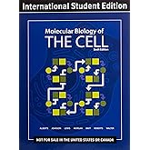Molecular Biology of the Cell - 7th edition: Amazon.co.uk: Alberts, Bruce: 9780393884852: Books