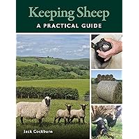 Sheep Health, Husbandry and Disease: A Photographic Guide: Amazon.co.uk ...