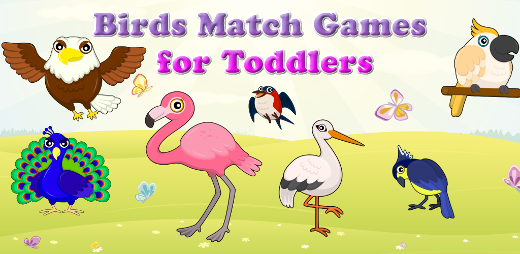 Birds Match Games for Toddlers and Kids : discover the bird species ...