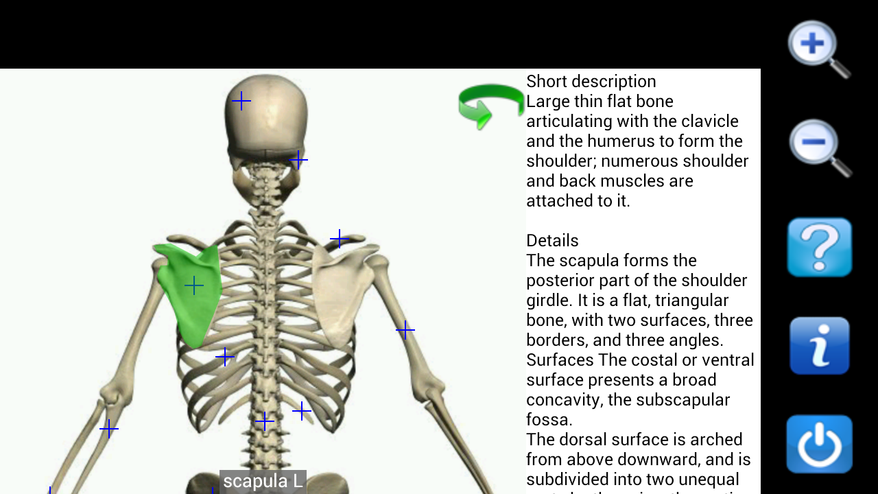 Visual Anatomy Free: Amazon.co.uk: Appstore for Android