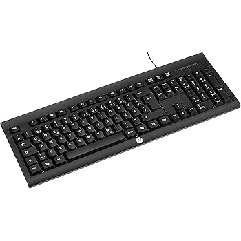 HP K1500 (H3C52AA) Keyboard with cable (Microsoft Windows XP, Windows ...