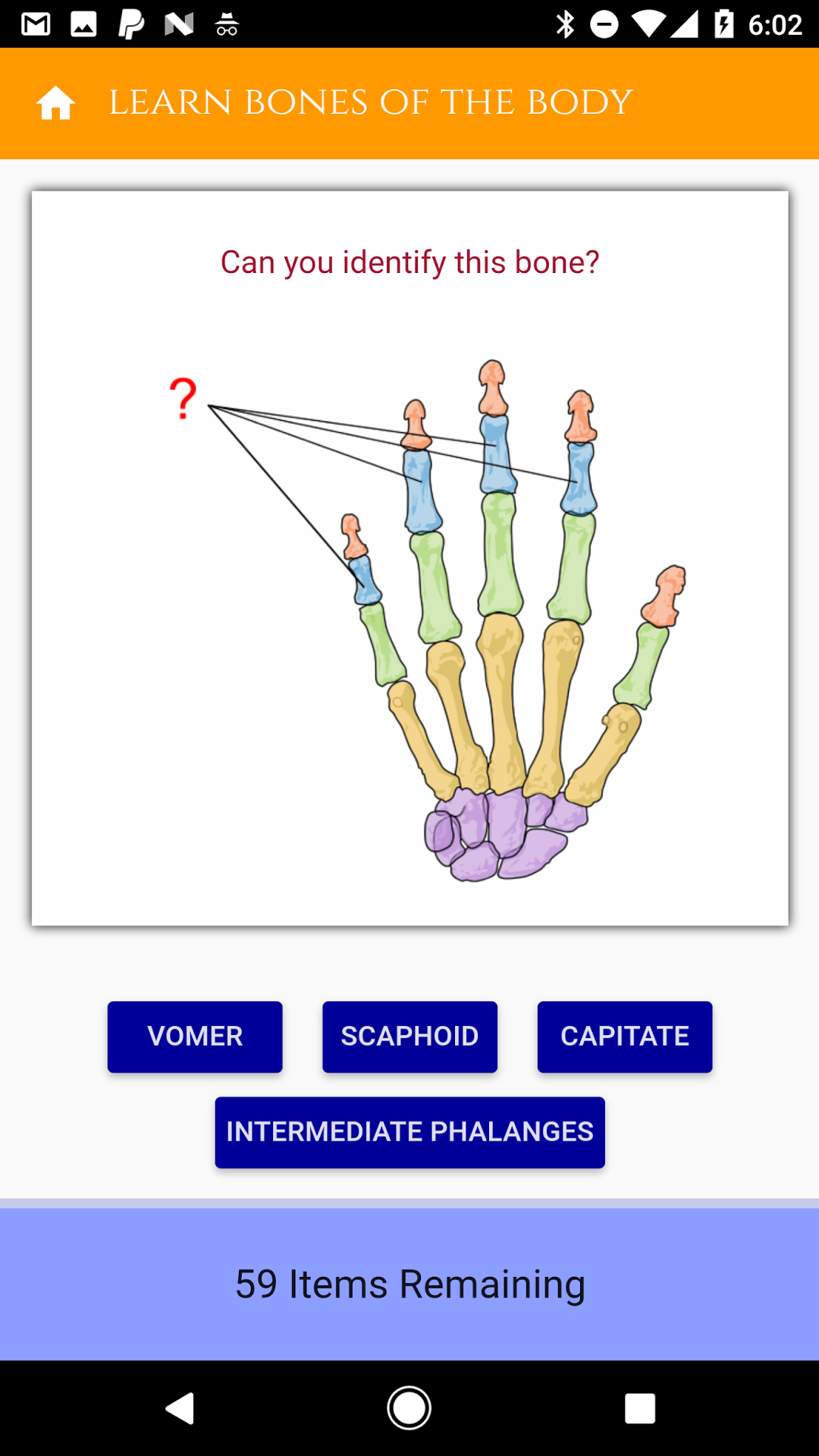 Learn The Bones Of The Body Amazon co uk Appstore For Android