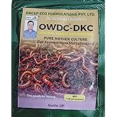 New OWDC Original Waste decomposer Pack of 2 Pouch Powder Form : Amazon ...
