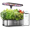 LETPOT LPH-SE Hydroponics Growing System, 12 Pods Smart Herb Garden Kit Indoor, Indoor Garden ...