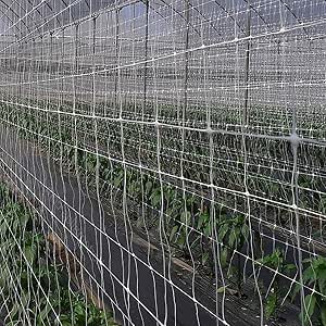 STI Rete per Sostegno e Supporto per Piante Piselli Ortaggi Rampicanti ...