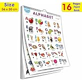 All in One English ABCD Chart For Kids (16 Charts ) 36 x 50 cm ...