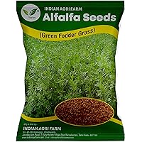 Iagrifarm Alfalfa/Lucerne/Kuthirai Masal Seeds -1 Kg - Multicut - For Fodder Cultivation ...