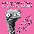 Funny Birthday Cards for Her - 'Happy Birthday To A Classy Old Bird ...