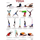 Buy Yoga Chart - 3 Wall Chart - Both Side Hard Laminated (Size 48 x 73 ...