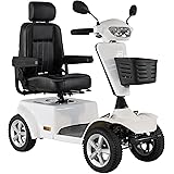 Easy Move Two-seater handicap mobility scooter : Amazon.in: Health ...