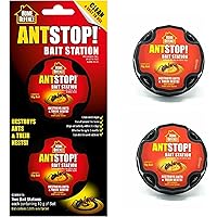 Home Defence Ant Stop! Bait Station : Amazon.co.uk: Garden