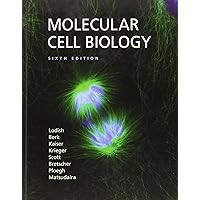 Molecular Biology of the Cell: Amazon.co.uk: Alberts, Bruce: 9780815344643: Books