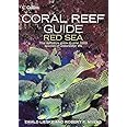 Amazon.fr - Coral Reef Guide Red Sea: The Definitive Diver's Guide To ...