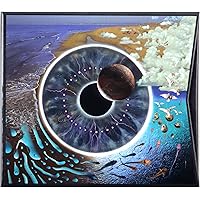 Pulse [DVD] [2006]: Amazon.co.uk: Pink Floyd, David Gilmour, Nick Mason ...