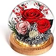 WYRIAZA Rose Eternelle Fleur Eternel - Rouge Cadeau Coffret Boite ...