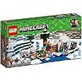 LEGO 21142 Minecraft The Polar Igloo : Amazon.co.uk: Toys & Games