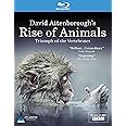 David Attenborough's Rise of Animals: Triumph of the Vertebrates [Blu ...