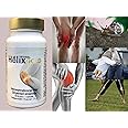 Helix Gold Original Helps Arthritis Rheumatism Joints Muscle Pain ...
