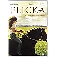 Flicka [DVD]: Amazon.it: Alison Lohman, Tim McGraw, Maria Bello, Ryan ...