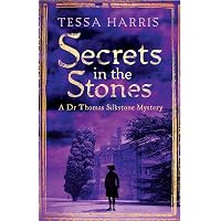 Secrets in the Stones: a gripping mystery that combines the intrigue of ...