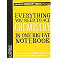 Everything You Need to Ace Chemistry in One Big Fat Notebook (Big Fat ...