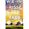 Wie Risse in der Erde: Roman | »Ein Buch, das man vielleicht nie in ...