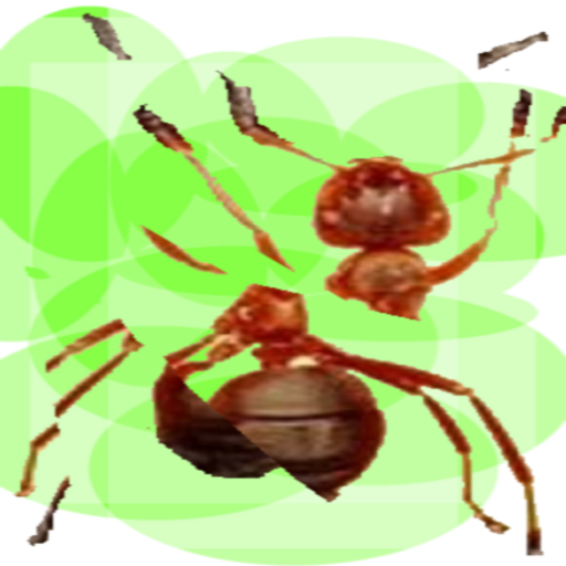 Squash That Ant : Amazon.co.uk: Apps & Games