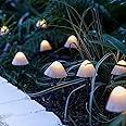 Lights4fun Set of 12 Solar Powered Mini Mushroom Toadstool Outdoor IP44 ...