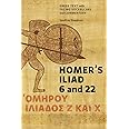 Homer's Iliad 6 and 22: Greek Text with Facing Vocabulary and ...