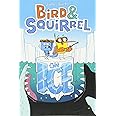 Bird & Squirrel on Ice : Burks, James: Amazon.co.uk: Books