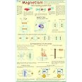 Buy Magnetism Chart | Laminated | 55 x 90 cm | Physics Chart | Science ...