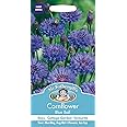 Mr Fothergills - Pictorial Packet - Flower - Cornflower Blue Ball - 250 ...