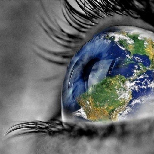 eyeworld: Amazon.co.uk: Appstore for Android