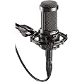 Audiotechnica AT2035 : Amazon.in: Musical Instruments