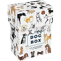 Animal Box Postcards: 100 Postcards by 10 Artists : Princeton ...