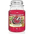 Yankee Candle Scented Candle | Red Raspberry Large Jar Candle | Burn ...