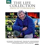 The Life Collection: David Attenborough (24 Disc BBC Box Set) [DVD ...